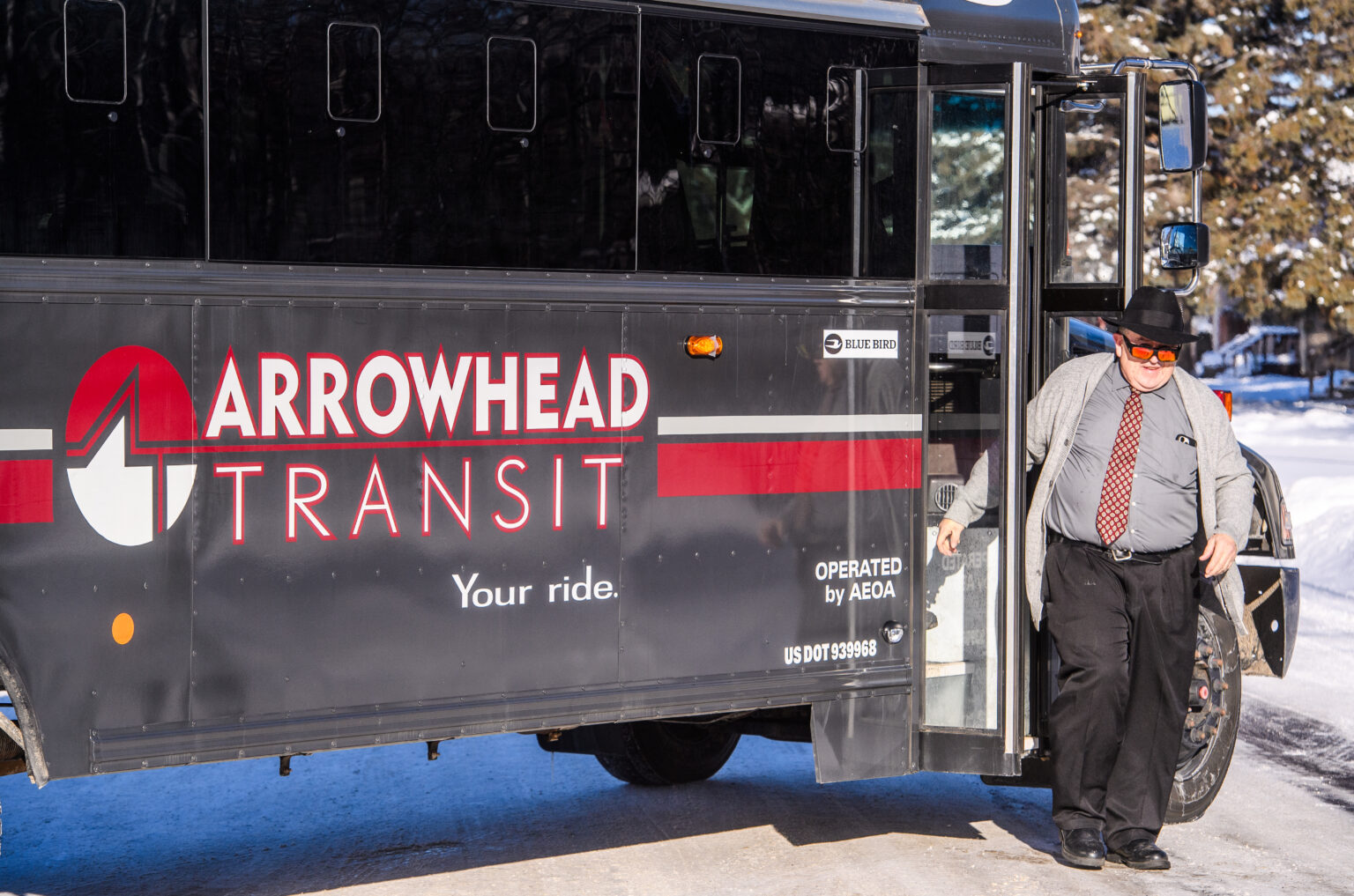 Festival of Trees Public Transportation 2024 | Arrowhead Transit